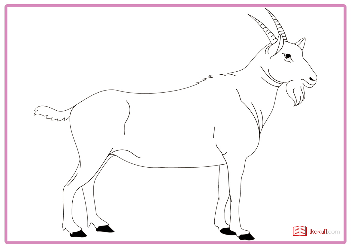 KEÇİ BOYAMA SAYFALARI – Sınıf Öğretmenleri İçin Ücretsiz Özgün Etkinlikler